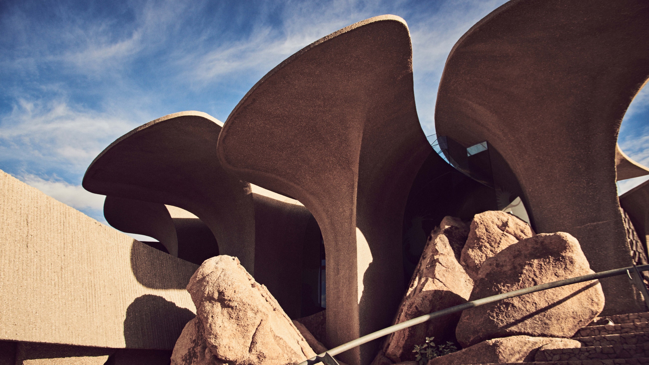 Spring 2022 Campaign — With Joshua Tree | Oliver Peoples®